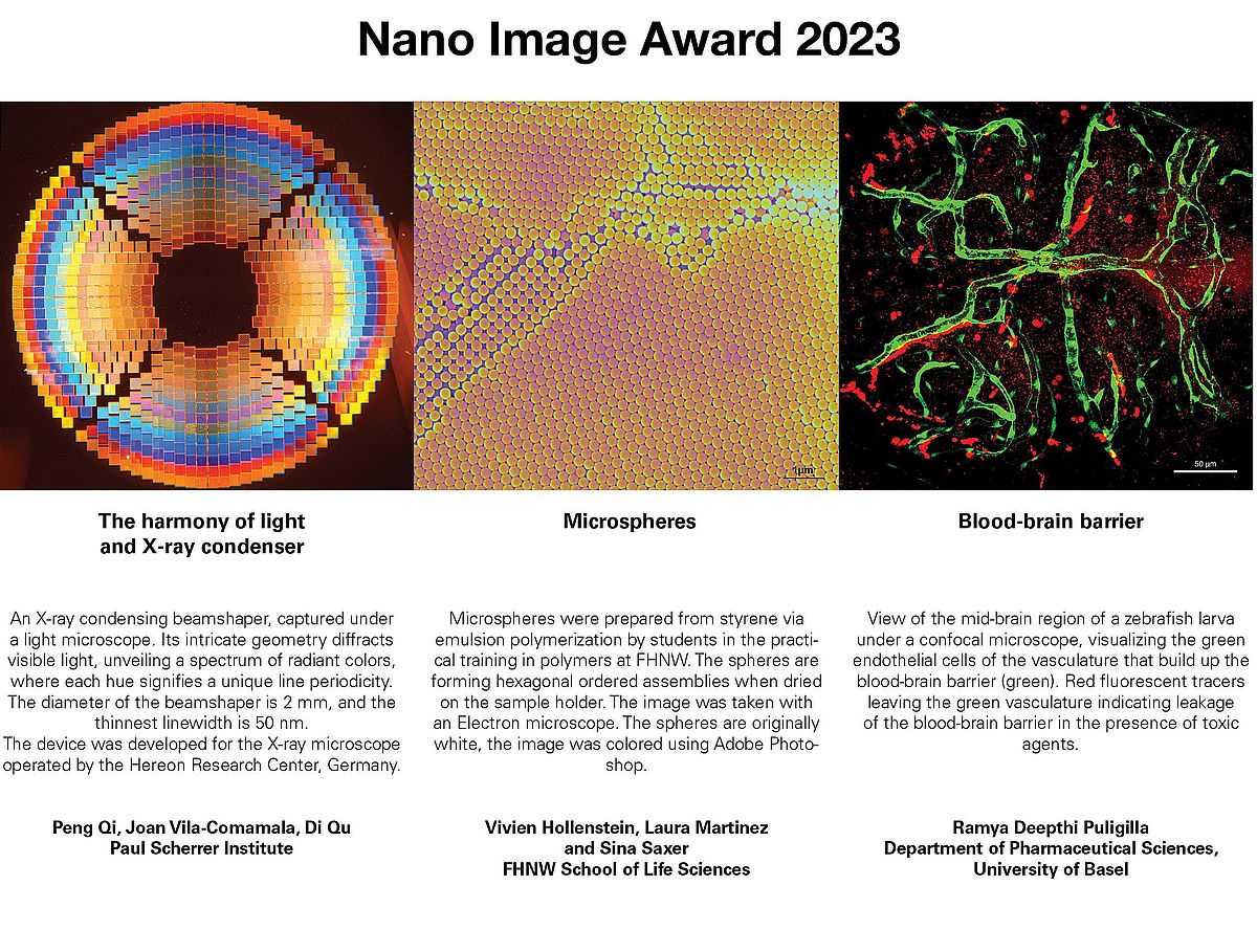 Nano Image Award 2023 | Swiss Nanoscience Institute | University of Basel